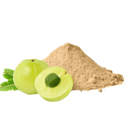 Amla Powder Manufacturers & Suppliers in India - Hennahub India