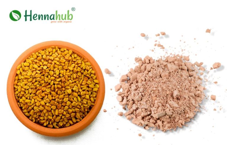 Methi Powder for Hair: The Ayurvedic Solution