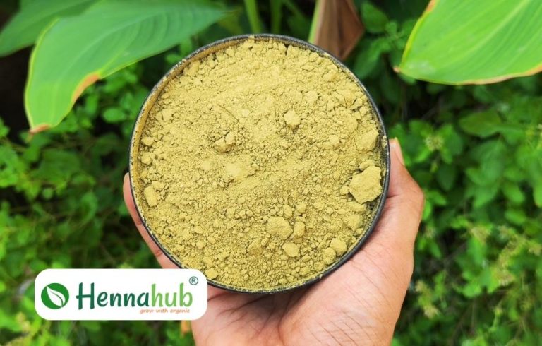 Understanding the Complete Henna Powder Production Process