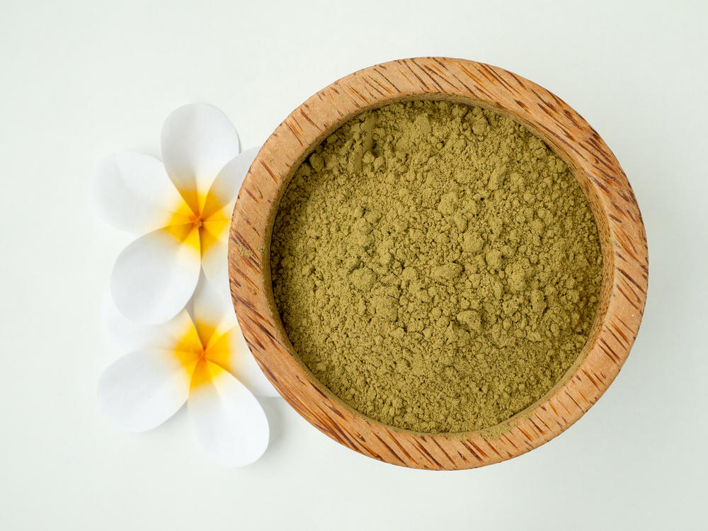 Best Henna Powder Retailers in India – Hennahub India