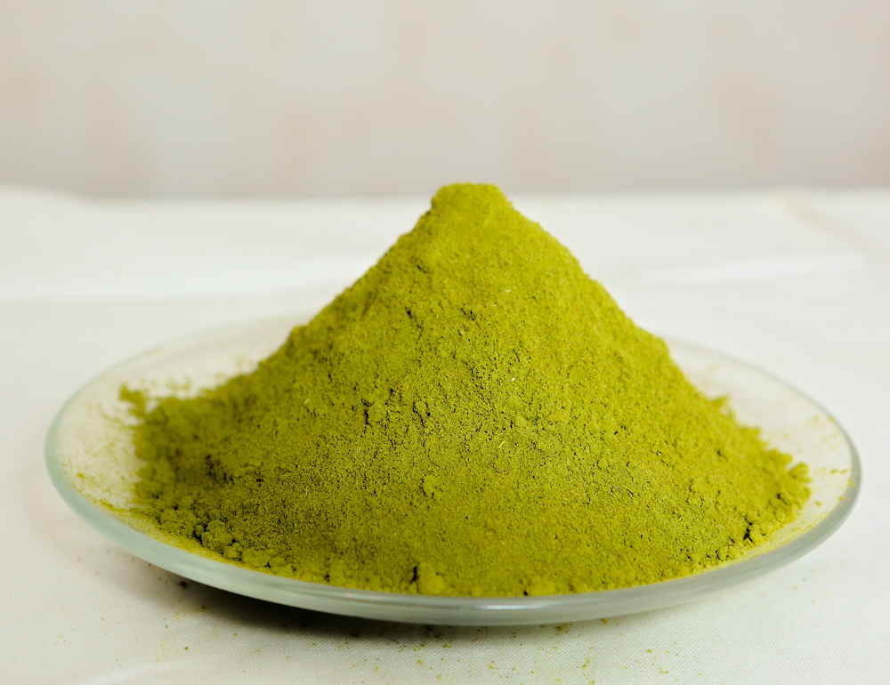 Best Henna powder suppliers in india – Hennahub India