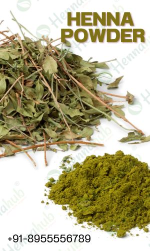 Looking for best quality heena powder trader in Sojat – Hennahub India