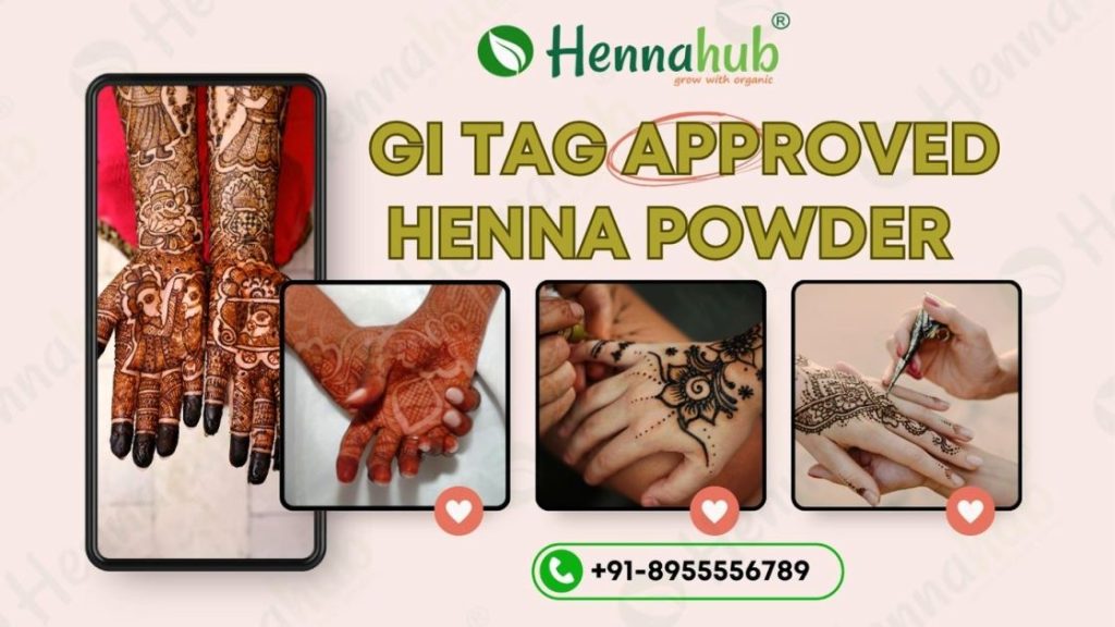 GI Tag Approved Top Rajasthani Henna powder wholesaler near me in ...
