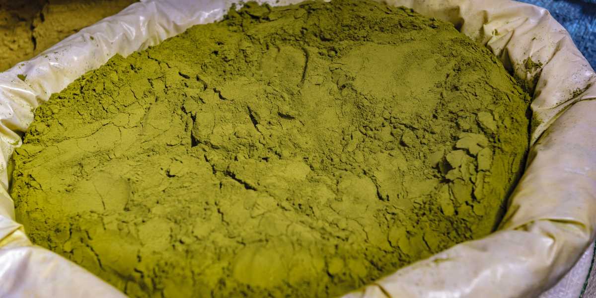 The Natural Henna Connection: India's Henna Powder Exports Flourishing ...